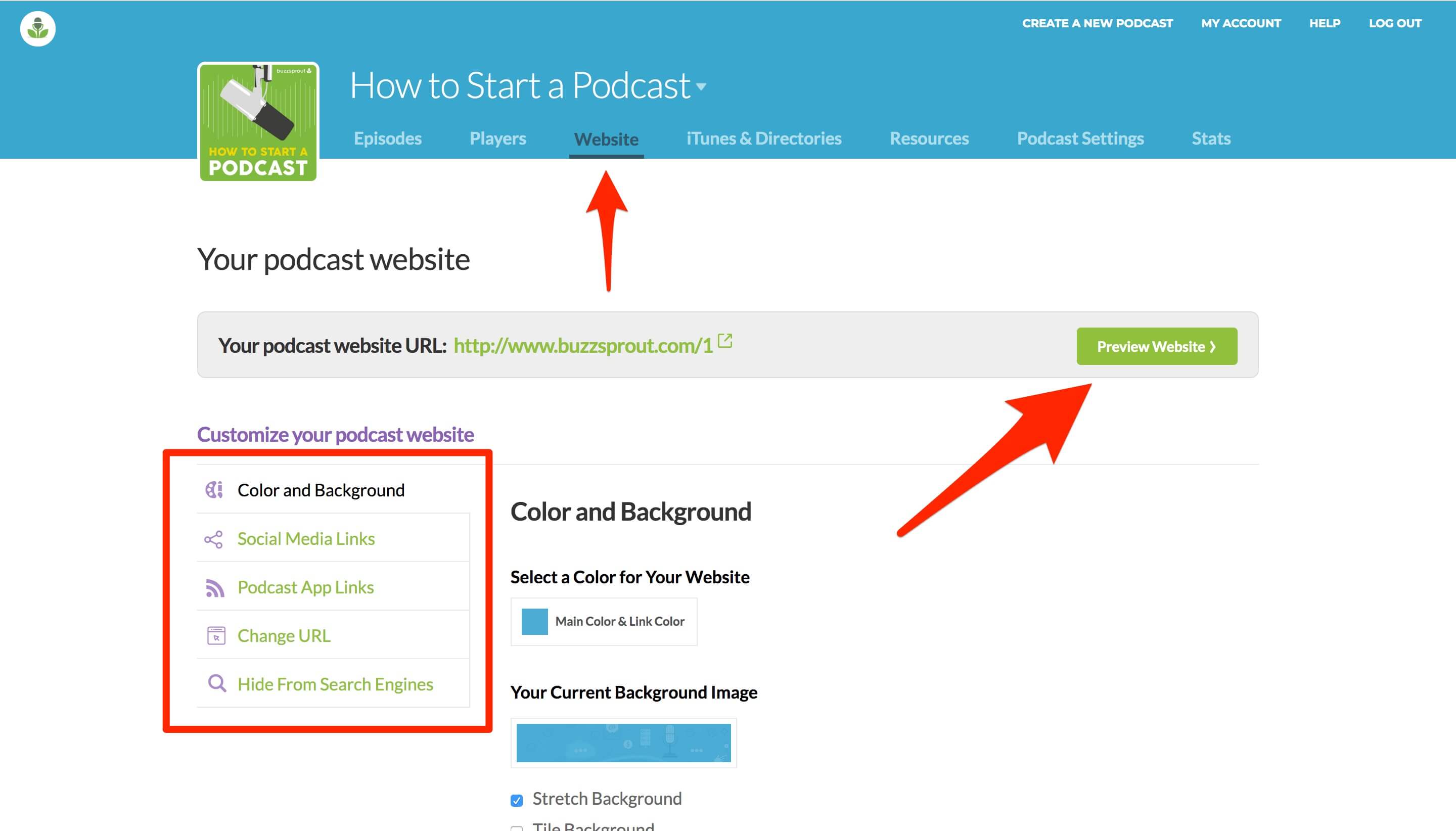 Customize your Buzzsprout Website - Buzzsprout Help
